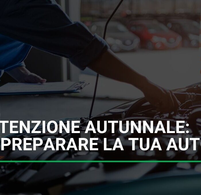 Cartello P di Principiante: tutto quello che c'è da sapere
